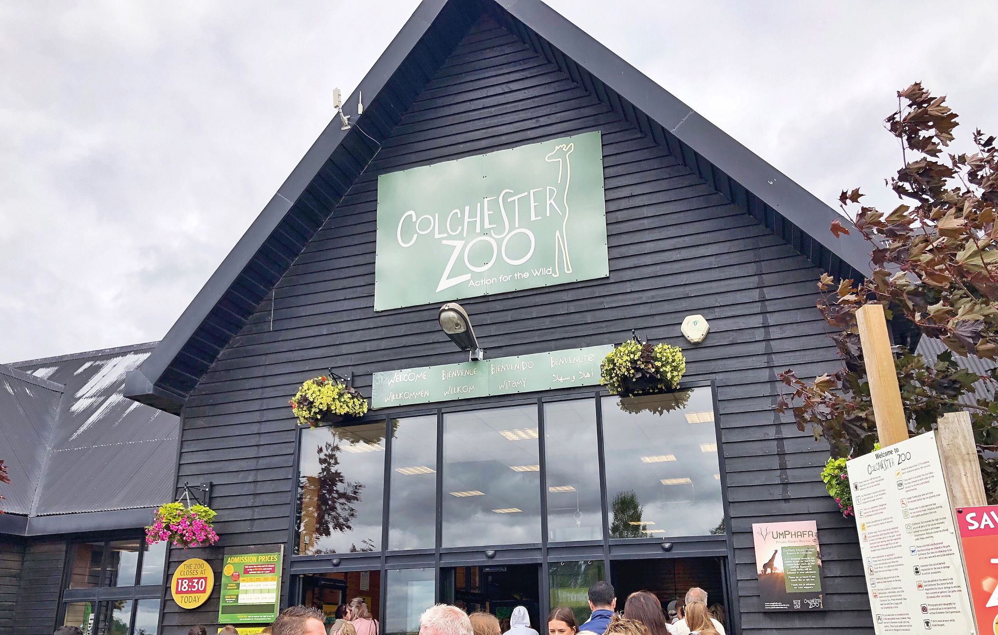 Colchester Zoo | Family Day Out